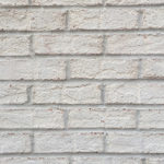 Full Size Brick - Bianchi Brick